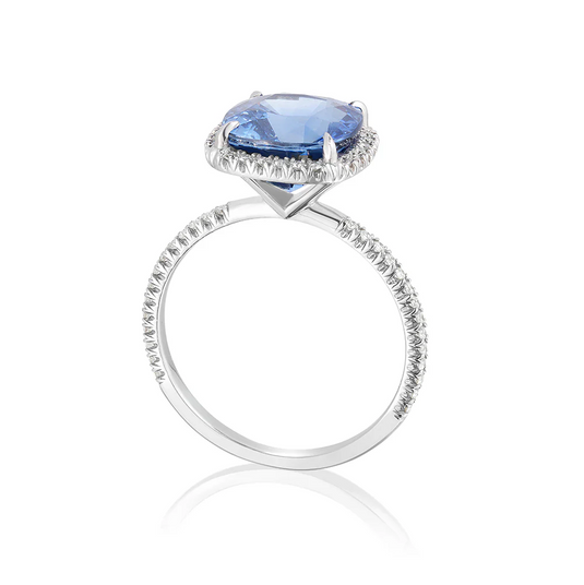 Shop Marisa Perry Atelier